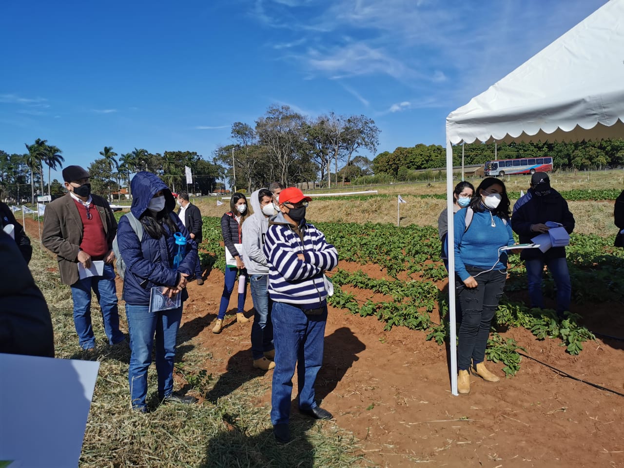 Ipta Realizó Jornada Técnica Sobre Cultivos De Papa Y Cebolla Conacyt